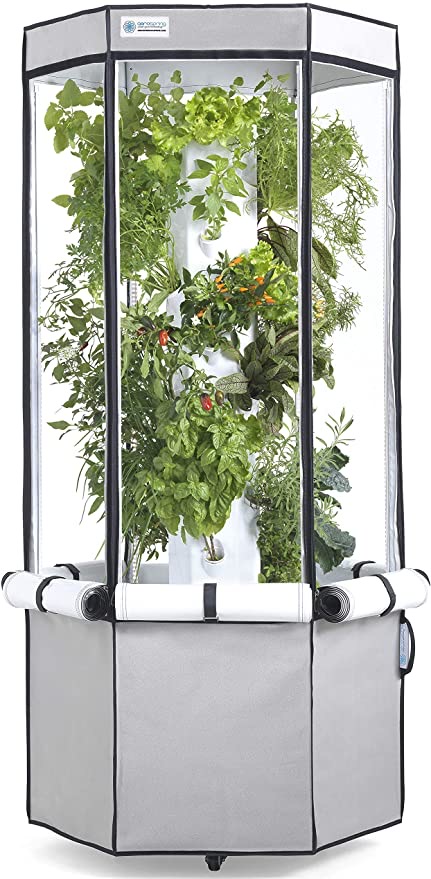 Lettuce Grow 36 Plant Farmstand – My Indoor Grow Systems