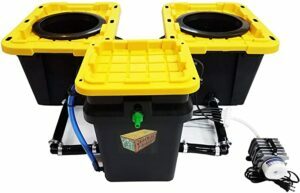 DWC vs rDWC Hydroponics – My Indoor Grow Systems