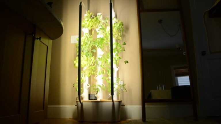 Gardyn 2.0 Hydroponic Vertical Garden Review – My Indoor Grow Systems