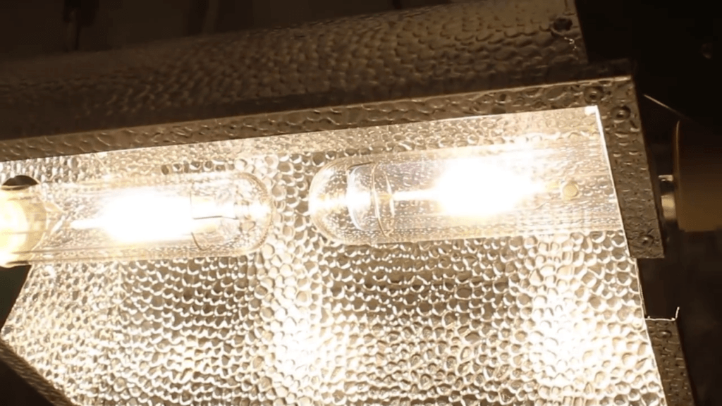 Best CMH Grow Lights for 2020 – My Indoor Grow Systems