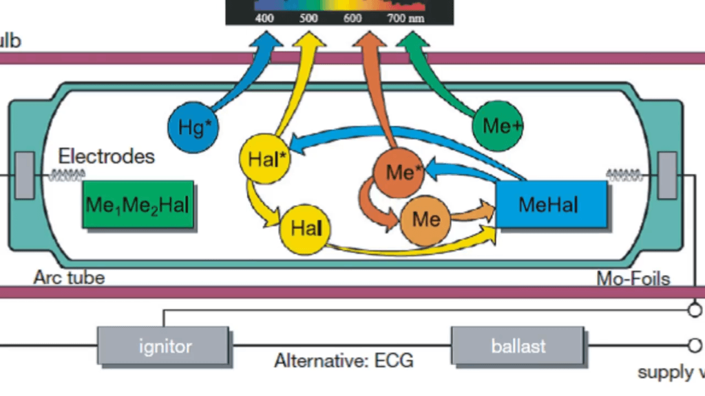 Best CMH Grow Lights for 2020 – My Indoor Grow Systems
