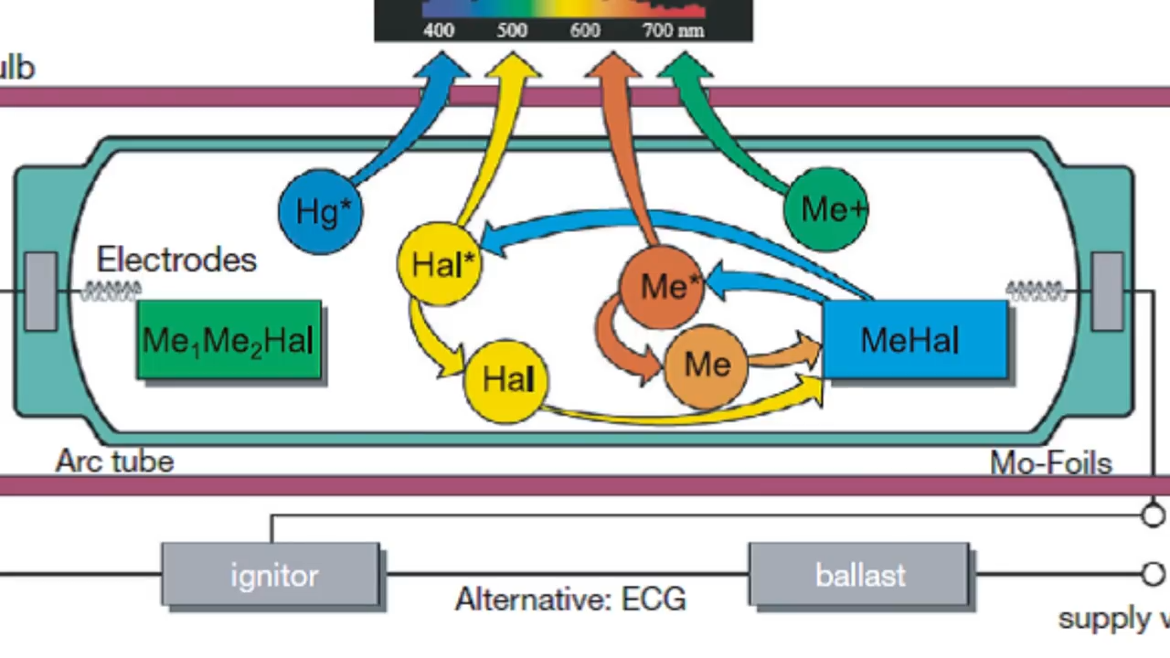 Best CMH Grow Lights for 2020 – My Indoor Grow Systems