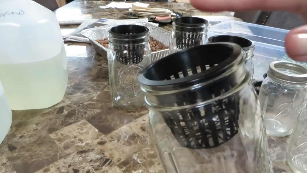 What is the Kratky Method of Hydroponics? – My Indoor Grow Systems