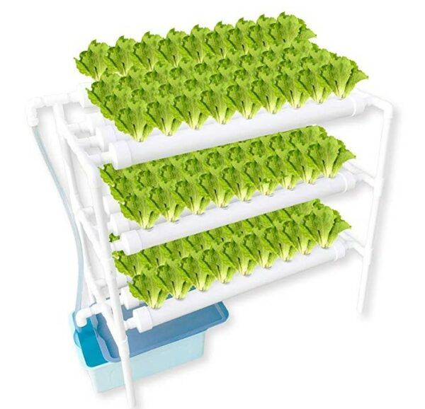 Best Indoor Hydroponic Systems – My Indoor Grow Systems